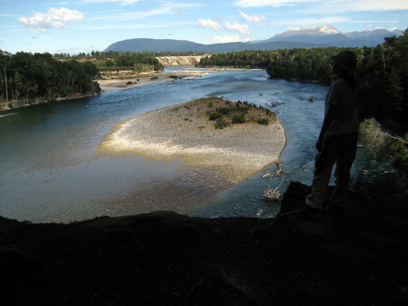 New Zealand 2/2007